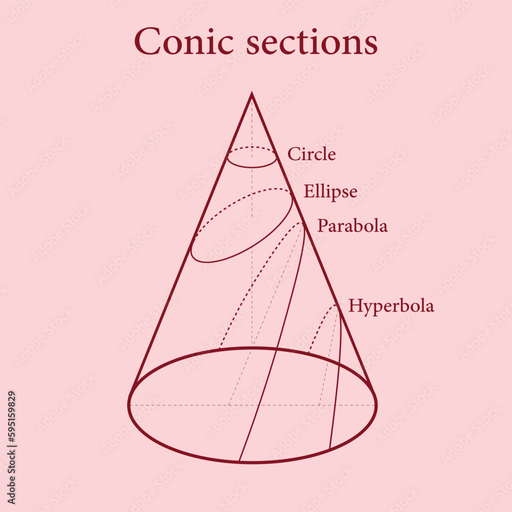 Types of conic sections. Circle, Ellipse, Parabola and Hyperbola ...