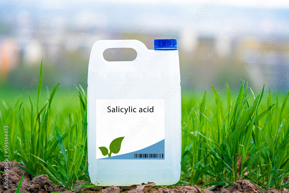 Salicylic acid a natural plant hormone that regulates plant growth and ...