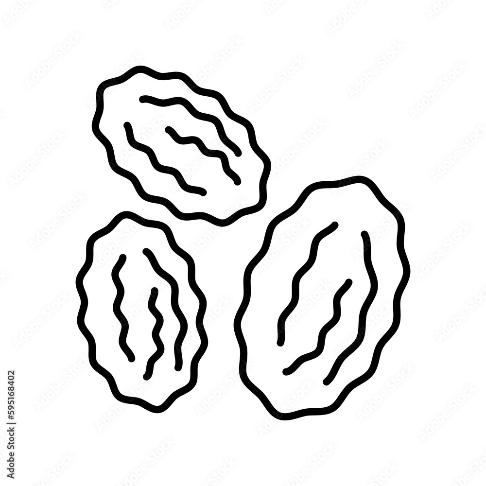 Raisin Fruit Icon Vector Outline illustration on white background..eps ...