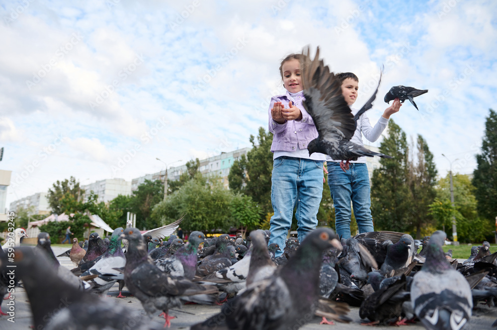 Adorable children boy and girl, feeding rock pigeons crowding the ...