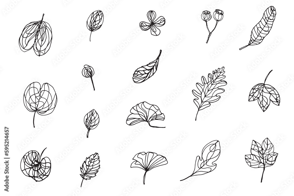 Set of minimal leaf drawings, single leaf ink sketching isolated on ...