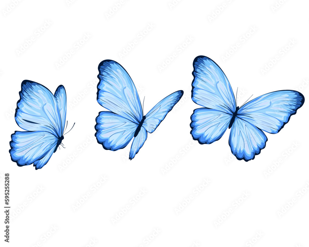 three blue butterflies Stock Vector | Adobe Stock