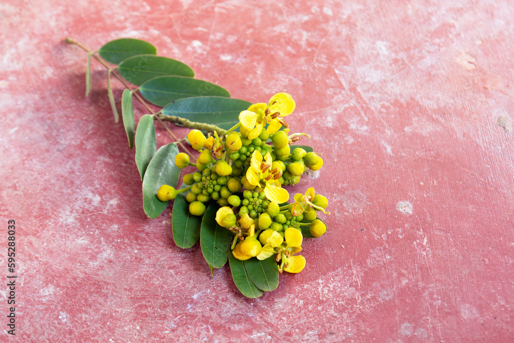 Thai copper pod flower on Brick background with soft shadow ...