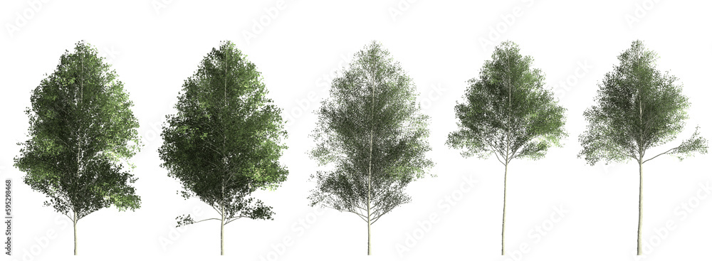 Cut out wild trees shapes. Set of trees in transparent backgrounds png ...