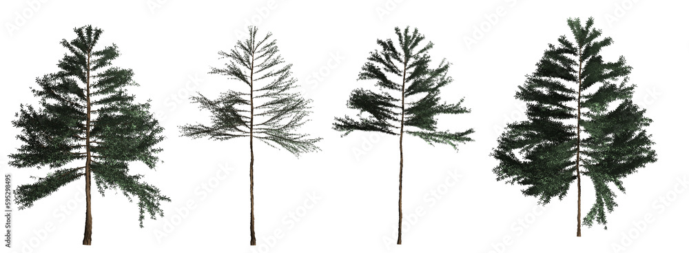 Cut out wild trees shapes. Set of trees in transparent backgrounds png ...