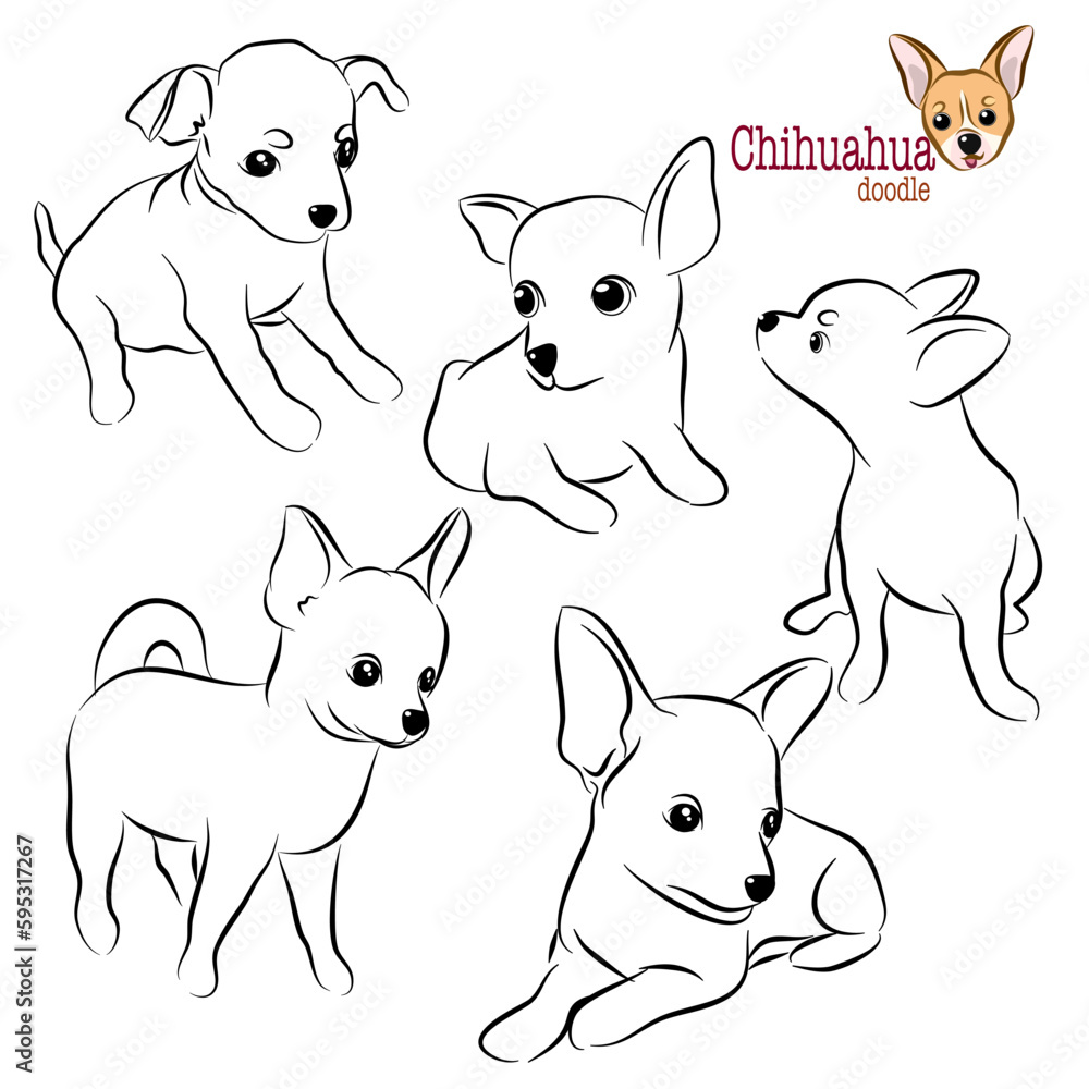 Hand drawn set of Chihuahua doodle. Vector illustration on white ...