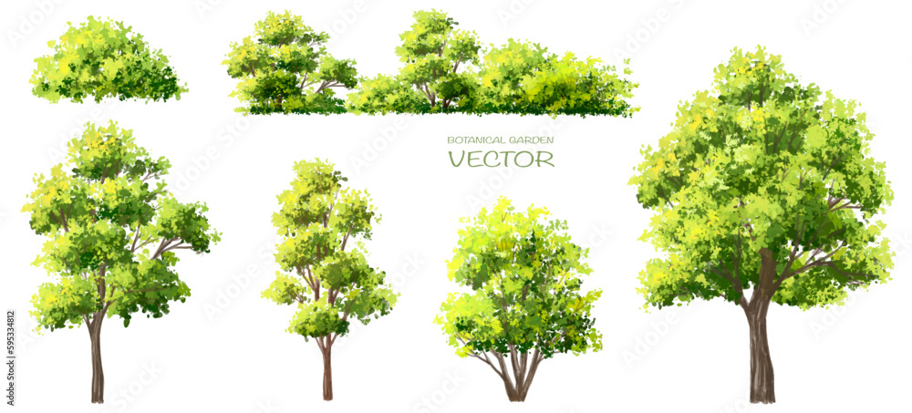 Vector watercolor of tree side view isolated on white background for ...