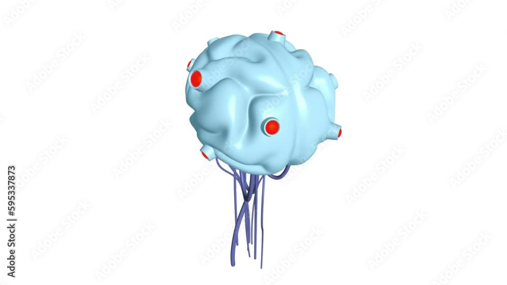 Cyber brain wired neural network. Robotic eternal organ. Cyborg robot ...