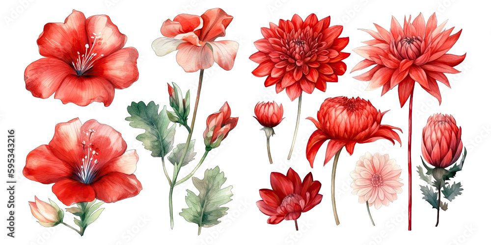 Set of red flower watercolor elements on transparent background Stock ...