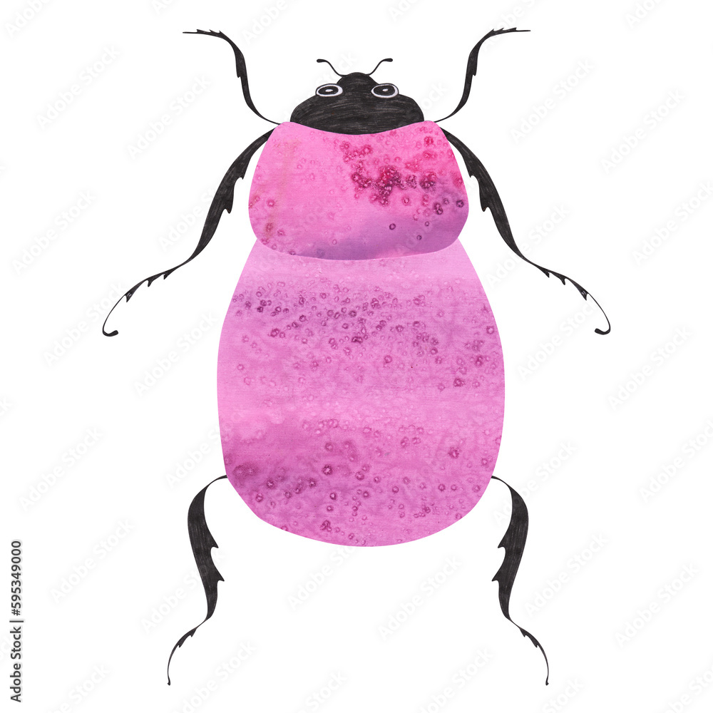 Bug is isolated on a transparent background. Watercolor insect ...