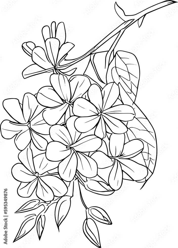 botanical line drawing leaves, botanical line art. wildflower botanical ...