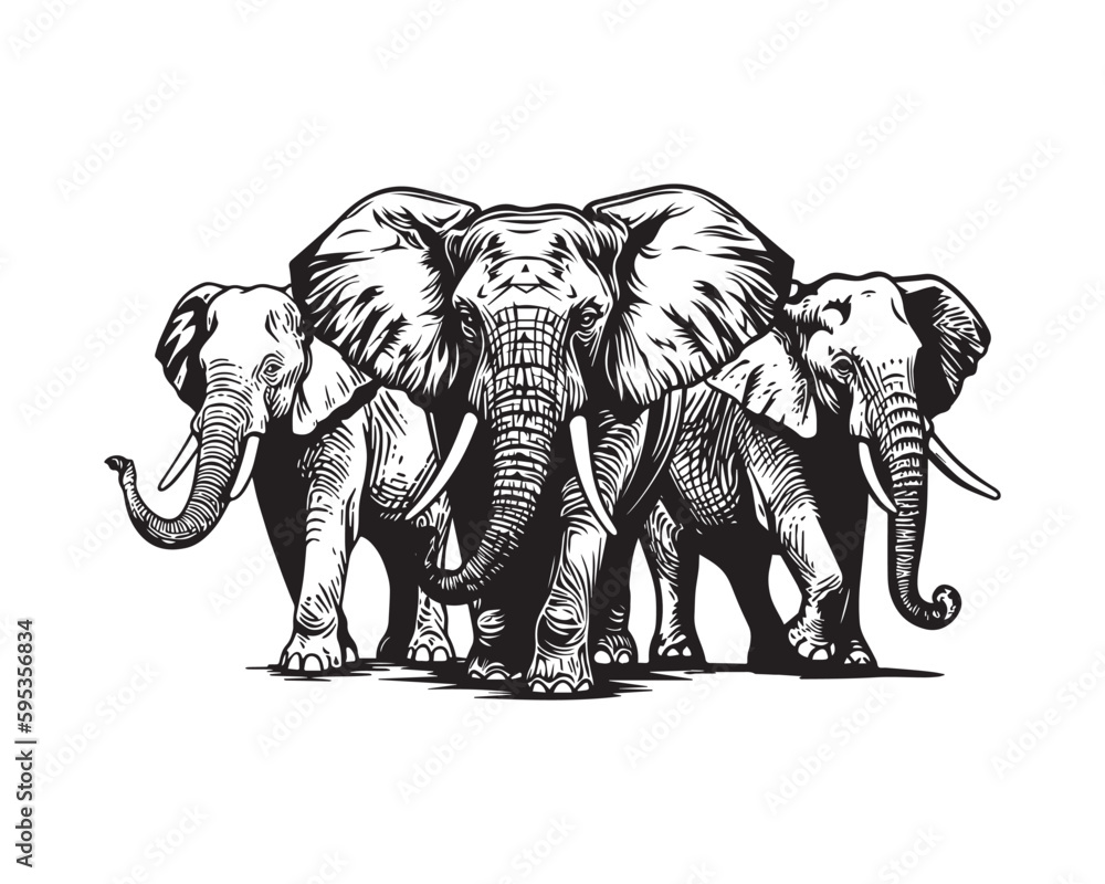Three elephants isolated on white background, vector illustration Stock ...