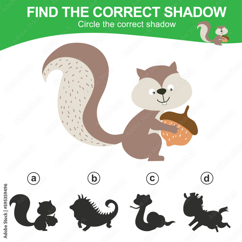 Find the correct shadow of the squirrel. Matching animal shadow game ...