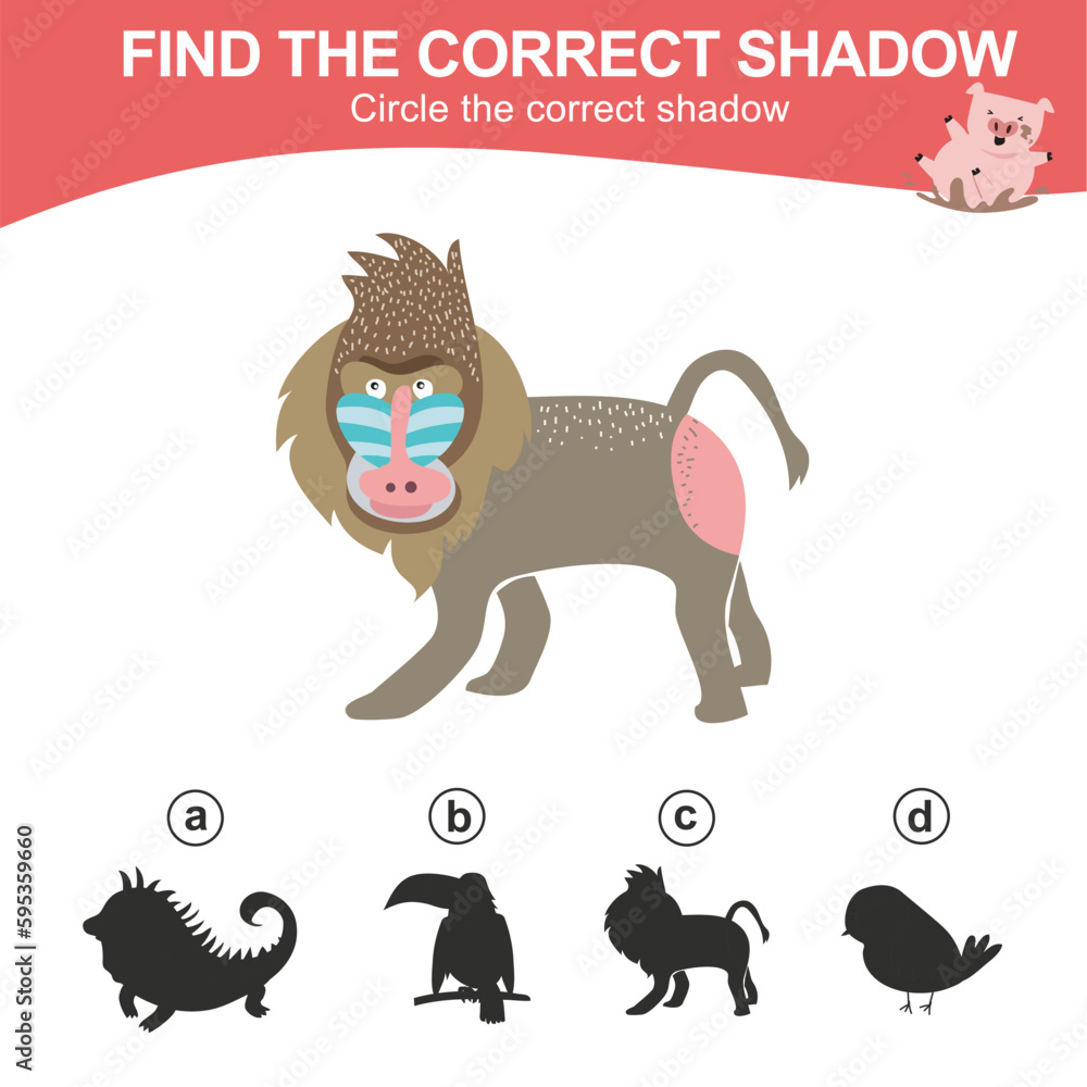 Find the correct shadow of the mandrill. Matching animal shadow game ...