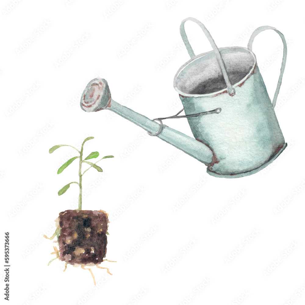 Leica. Watering can for garden. Clipart. Hand drawn watercolor ...