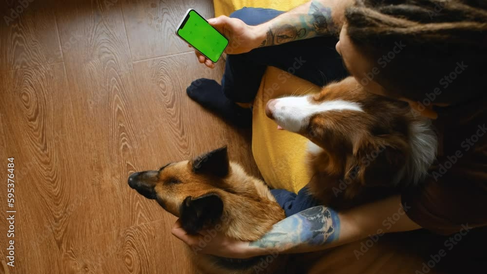 Online shopping in pet store. Pet owner resting with Australian and ...