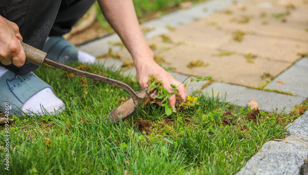 Gardening tools like trowels, spades, and shovels are essential for ...