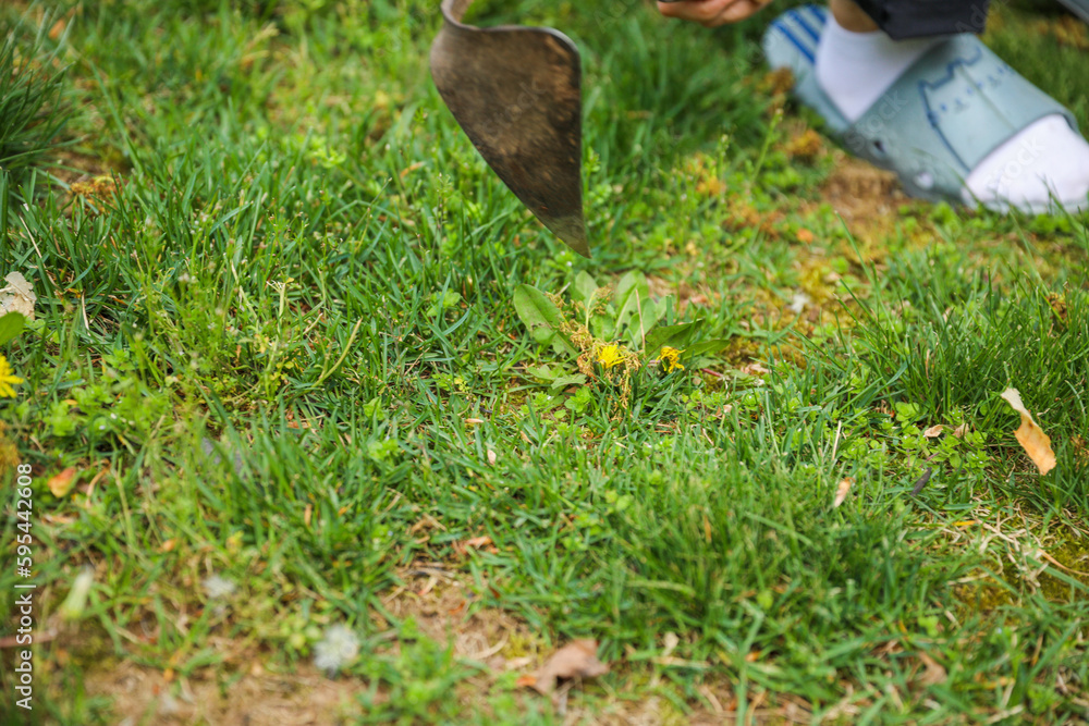 Gardening tools like trowels, spades, and shovels are essential for ...