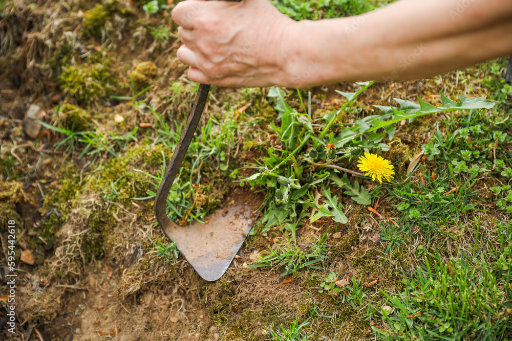 Gardening tools like trowels, spades, and shovels are essential for ...