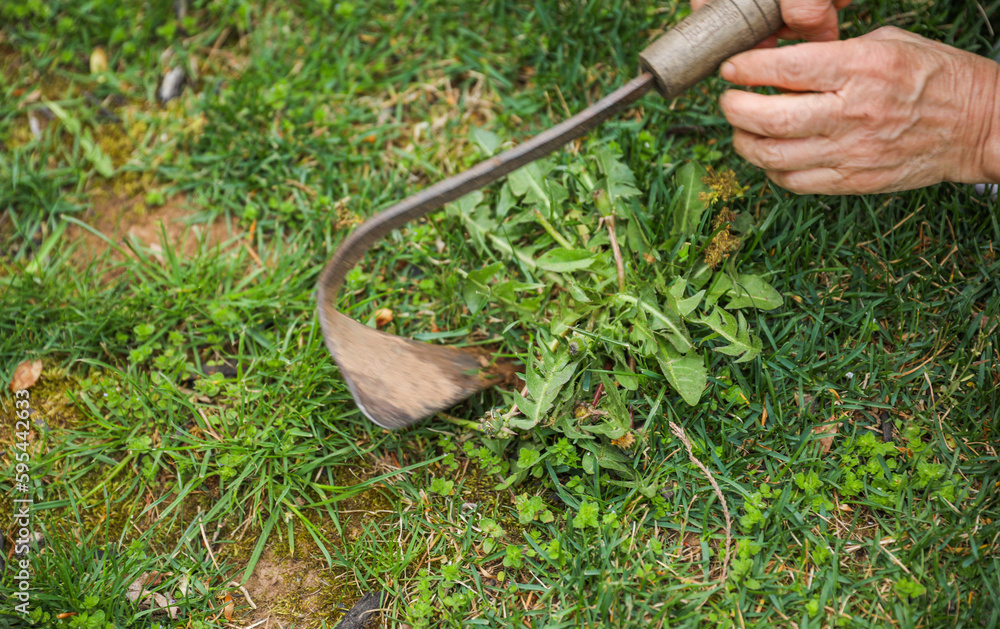 Gardening tools like trowels, spades, and shovels are essential for ...