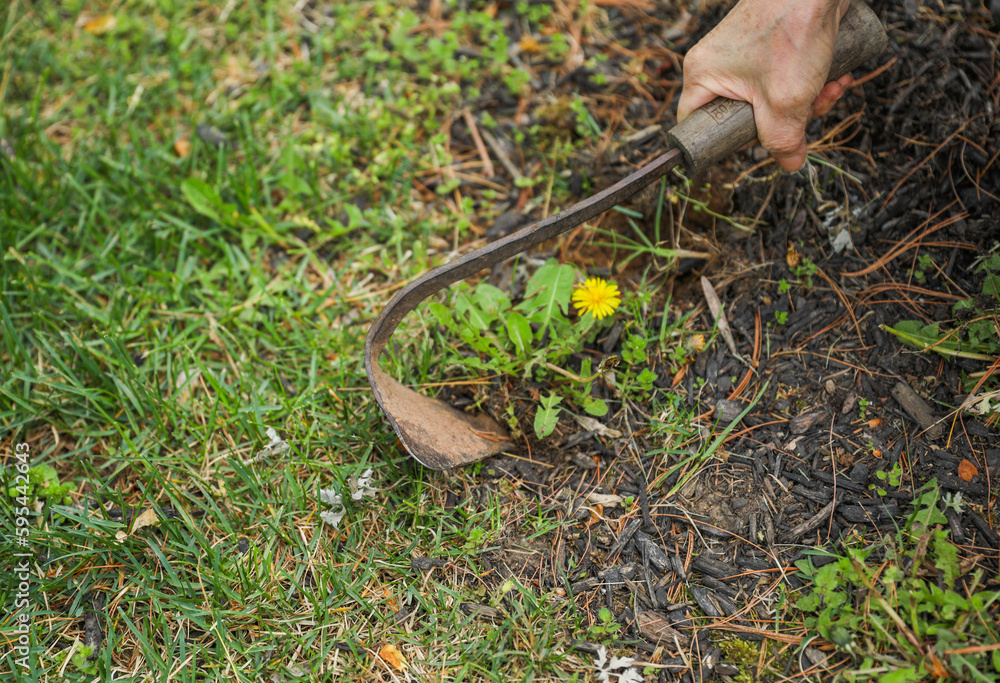 Gardening tools like trowels, spades, and shovels are essential for ...