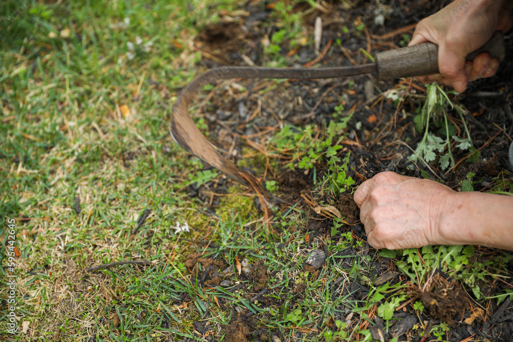 Gardening tools like trowels, spades, and shovels are essential for ...