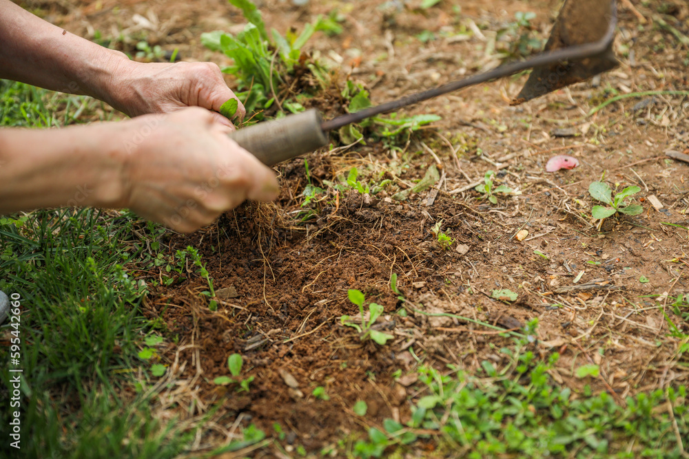 Gardening tools like trowels, spades, and shovels are essential for ...
