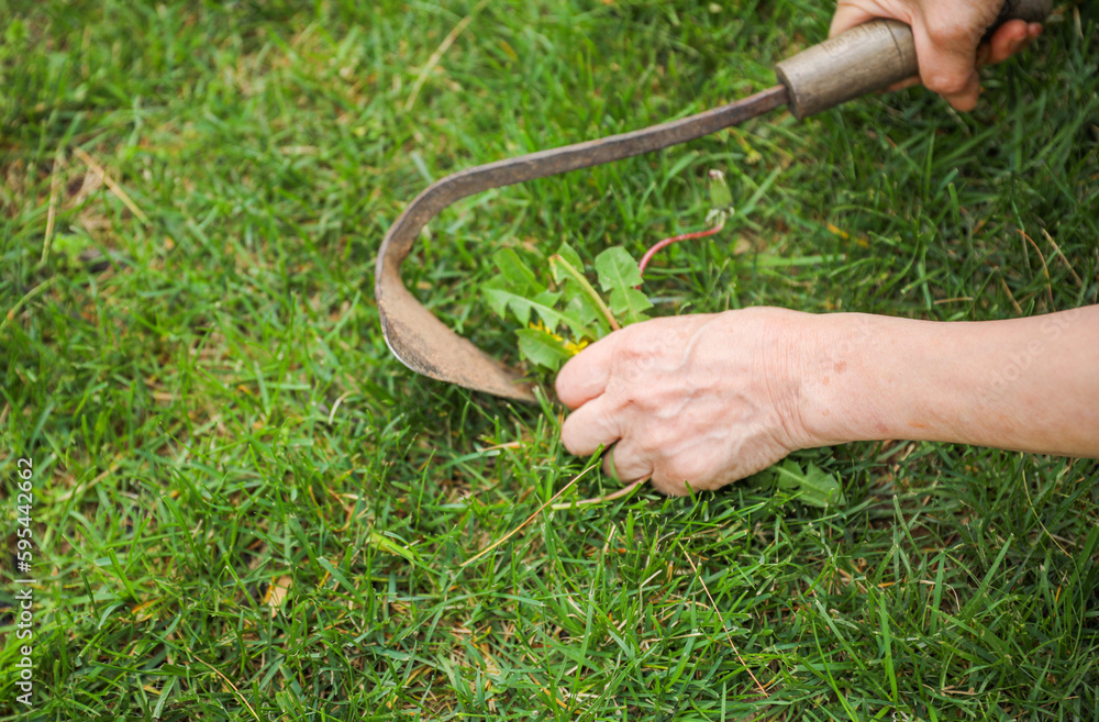 Gardening tools like trowels, spades, and shovels are essential for ...
