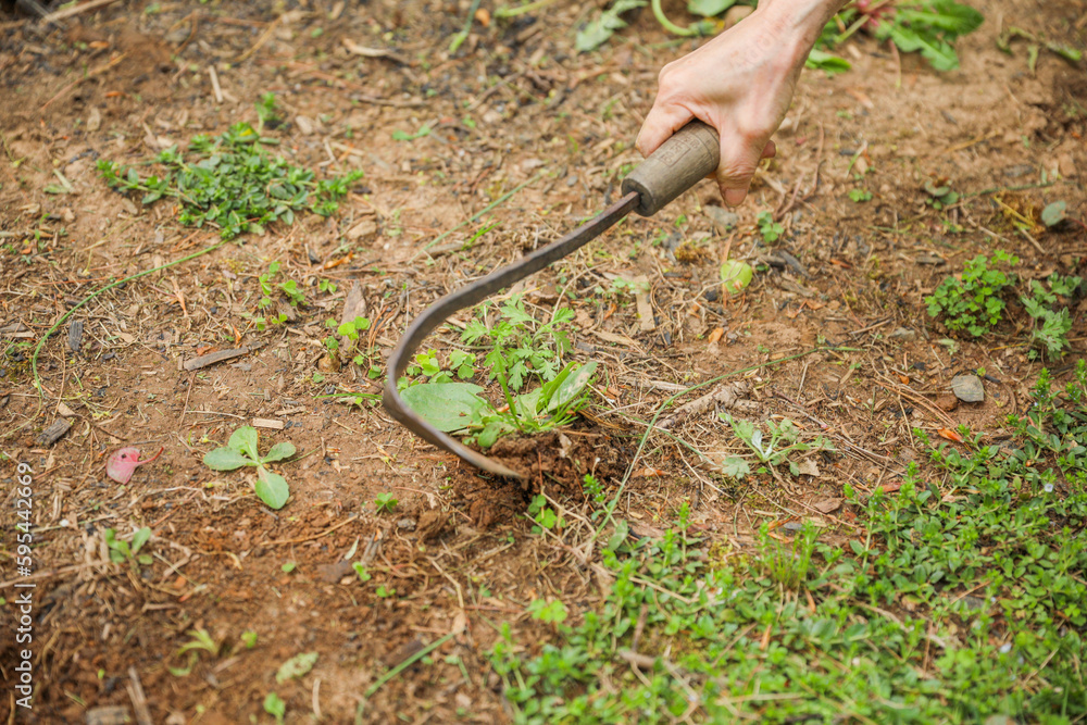 Gardening tools like trowels, spades, and shovels are essential for ...