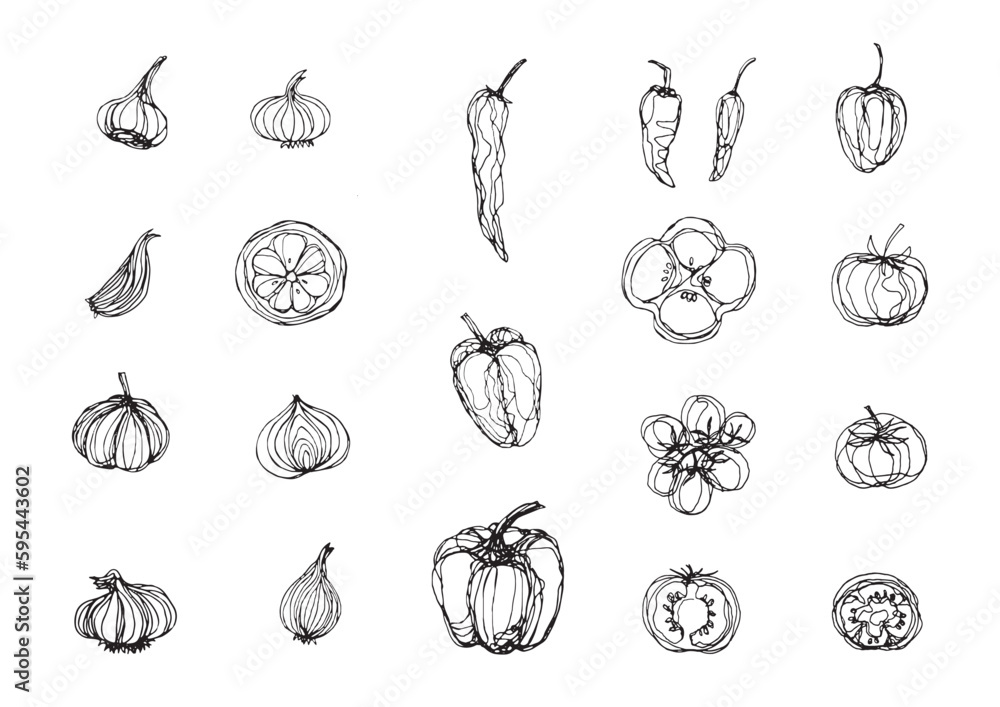 Minimal spice and vegetable drawing, ink doodle vegetables vector ...