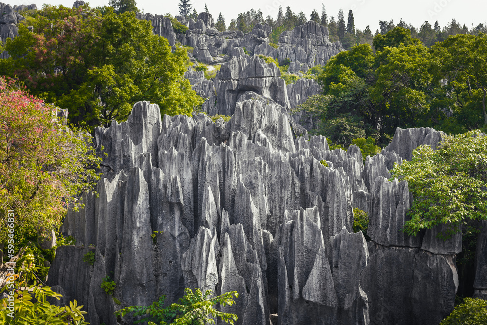 Gorgeous black limestone rocks of Shilin Stone Forest, Kunming, Yunnan ...