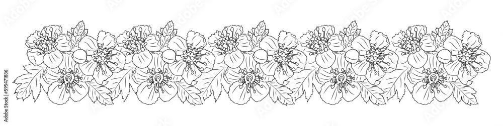 Horizontal seamless border with Hawthorn flower line art drawing ...