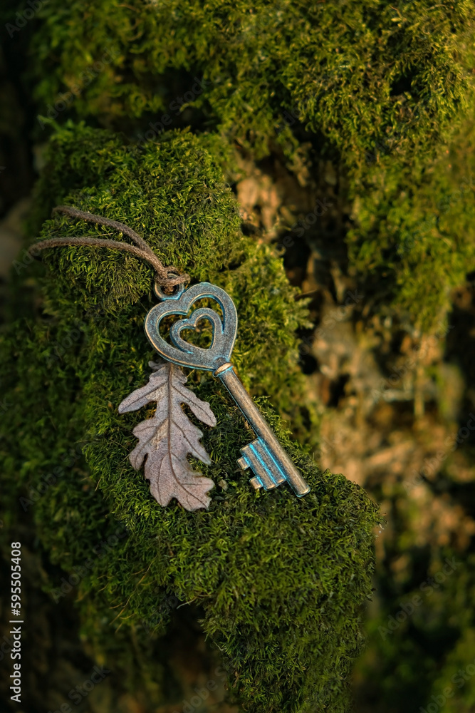 vintage key and fall oak leaf on mossy tree in mystery forest, natural ...