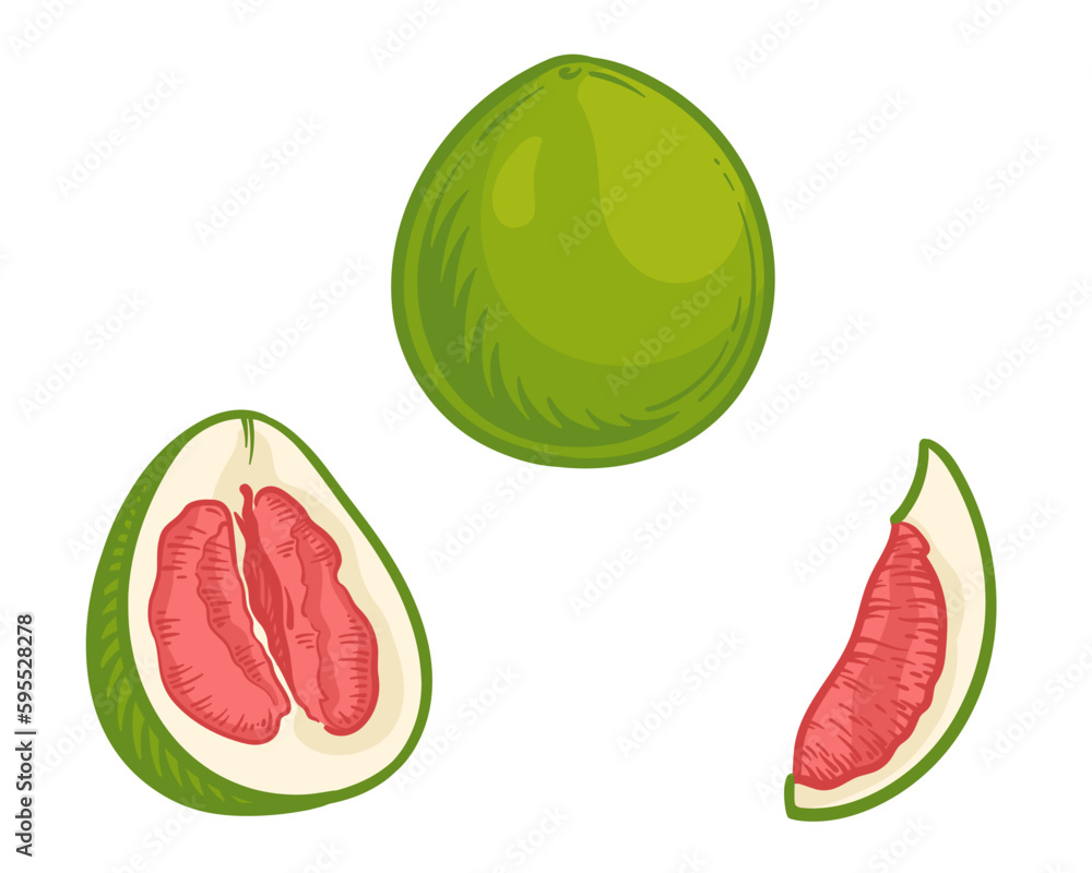 Green pomelo fruit in cartoon style. Vector illustration of fruits ...