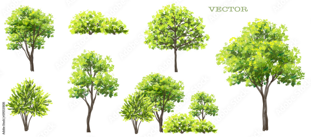 Vector green tree isolated on white background,watercolor painting for ...