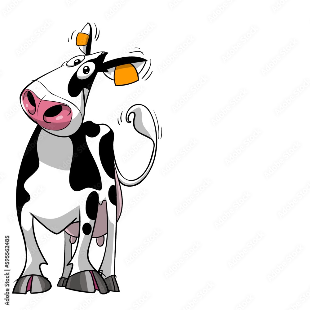 Cute and friendly holstein cow looking straight at the viewer with face ...