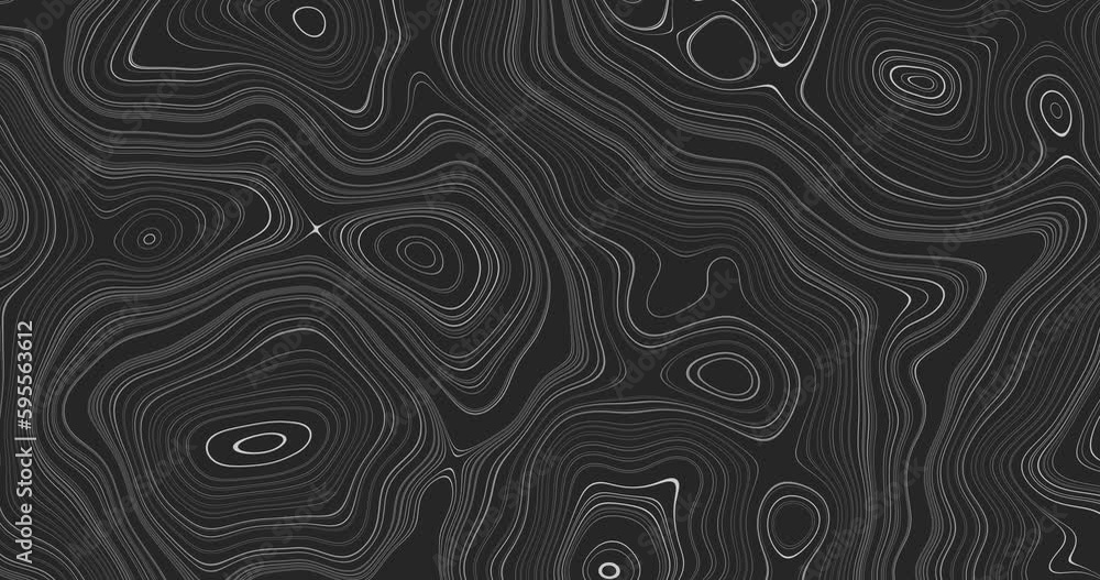 Abstract background with changeable stripes or curves. Relief map. Loop ...