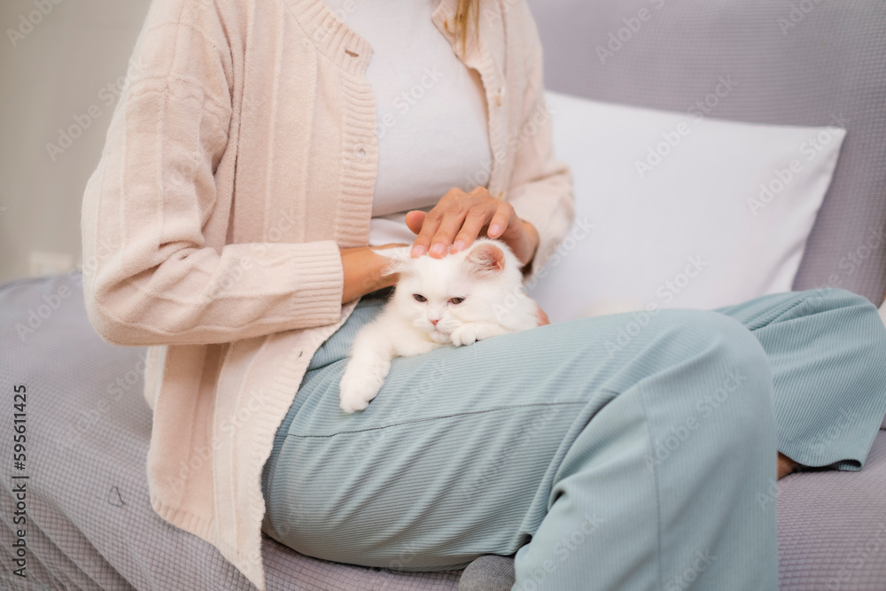 Crop cat sitting show two hands over woman lap with peaceful emotion ...