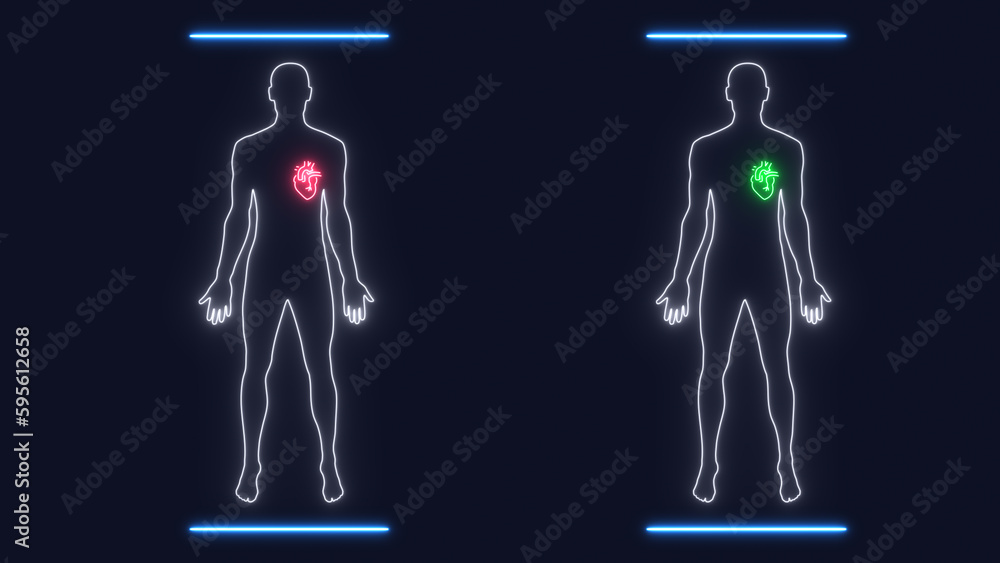 Cardio system heart medical exam in diagnostic clinic. Scan with x ray ...
