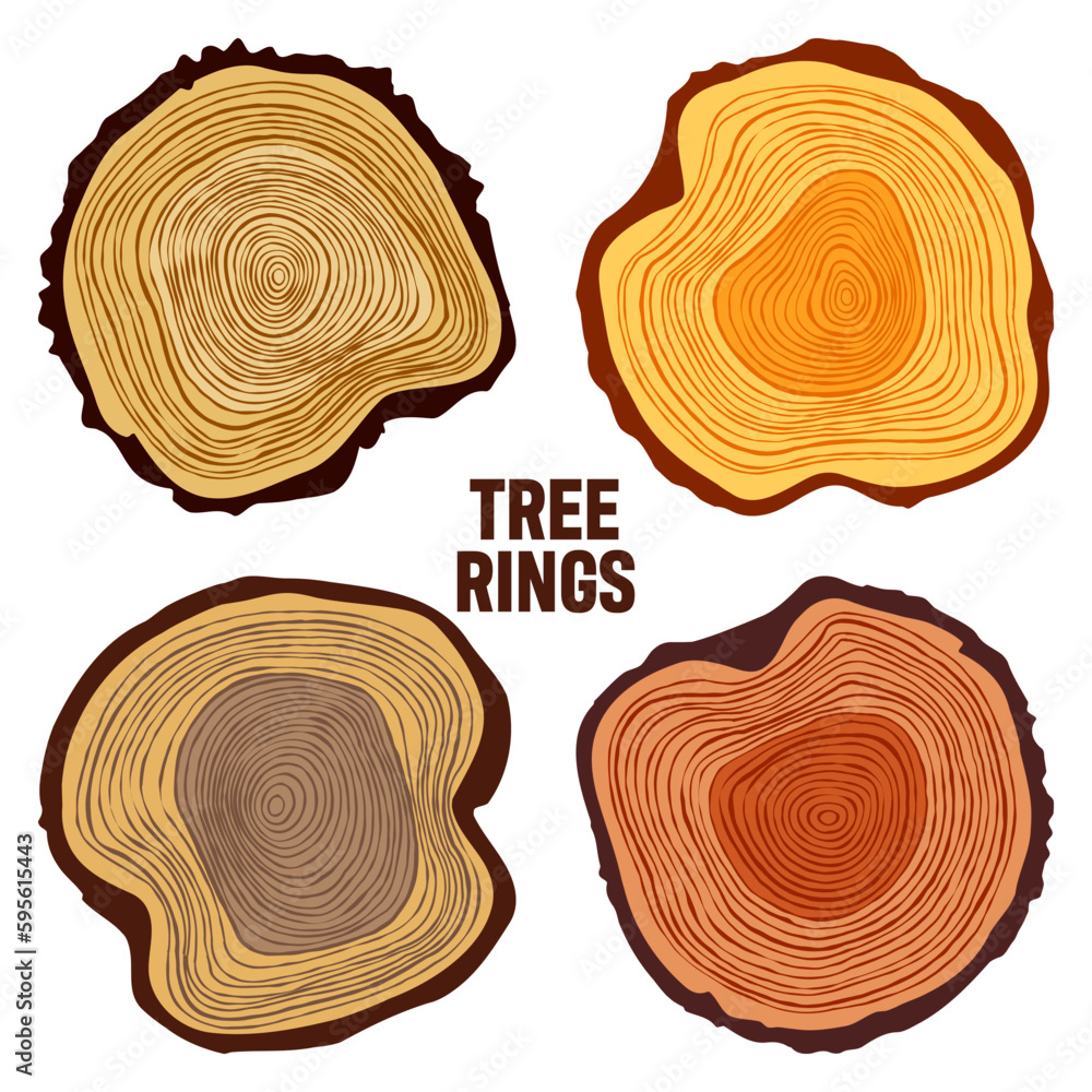 Round colorful tree trunk cuts, sawn pine or oak slices, lumber. Saw ...