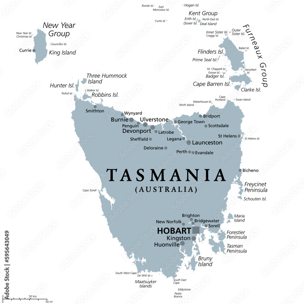 Tasmania, island state of Australia, gray political map. Located south ...