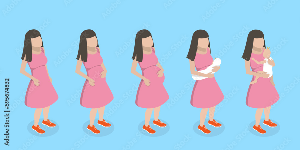 3D Isometric Flat Vector Conceptual Illustration of Stages Of Pregnancy ...