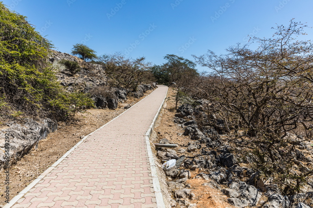 Park near the Tawi Atair Sinkhole Oman, the most famous sinkhole in the ...