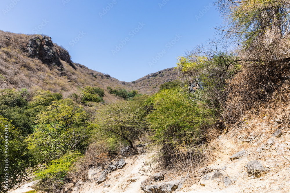 surroundings of the Wadi Darbat Valley, one the most beautiful and ...