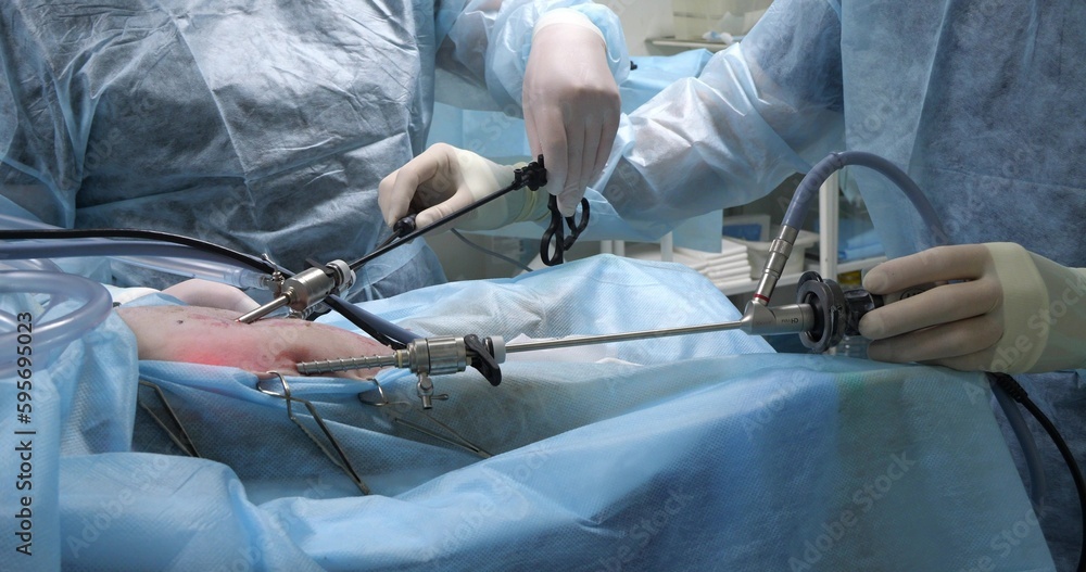 The process of performing endoscopic surgery in an animal on the ...
