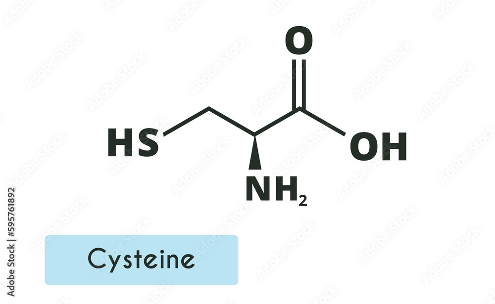 Cysteine Molecule Structure. (l-cysteine, Cys, C). Skeletal formula ...