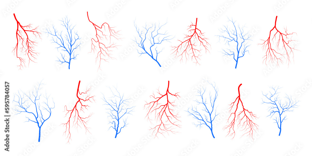 Human eye blood veins vessels silhouettes vector illustration set ...