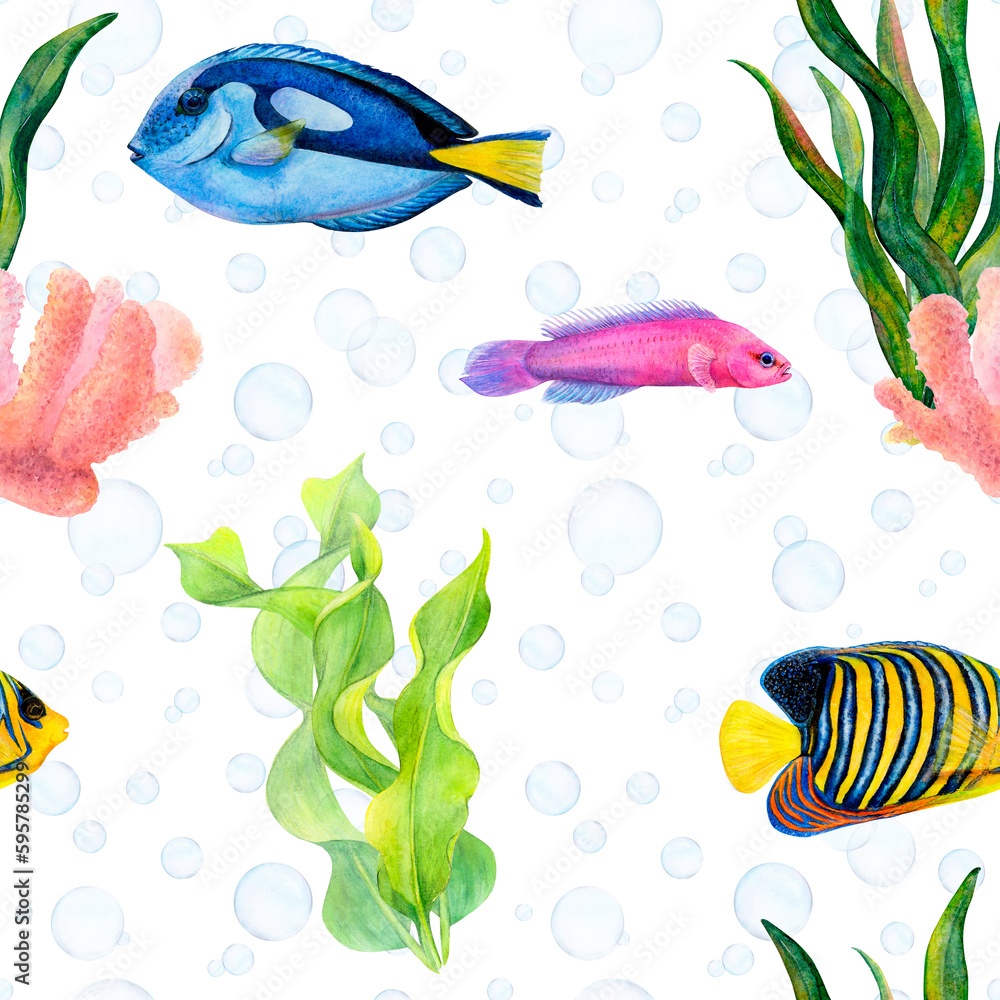 Watercolor drawing rapport of ribbon algae, butterfly fish, surgeon ...