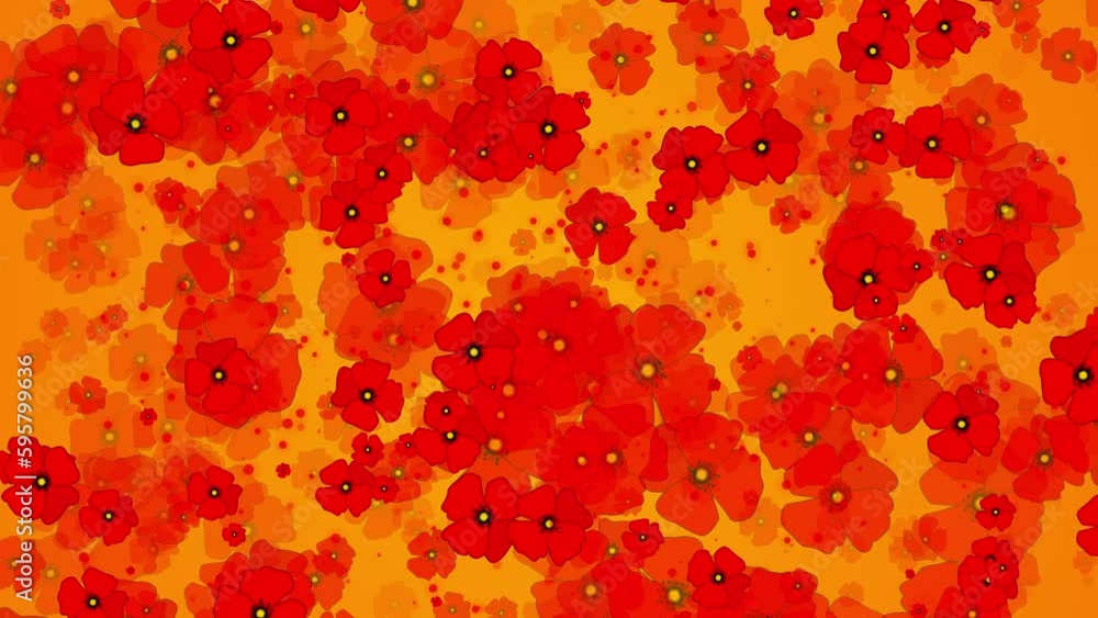 Red poppy flowers on yellow background. Abstract looped motion graphics. Rotating flora ...