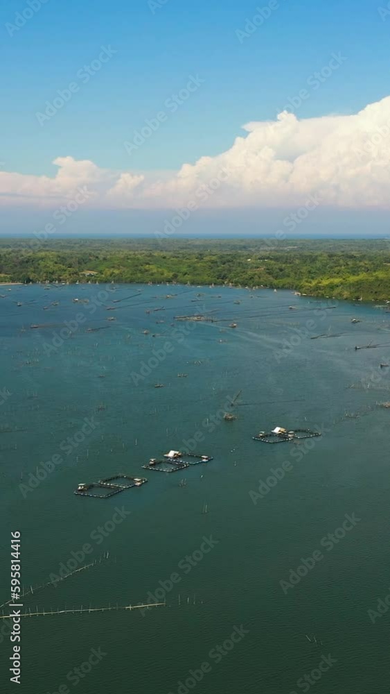 Top view of Fish ponds for bangus, milkfish. Farming aquaculture or ...